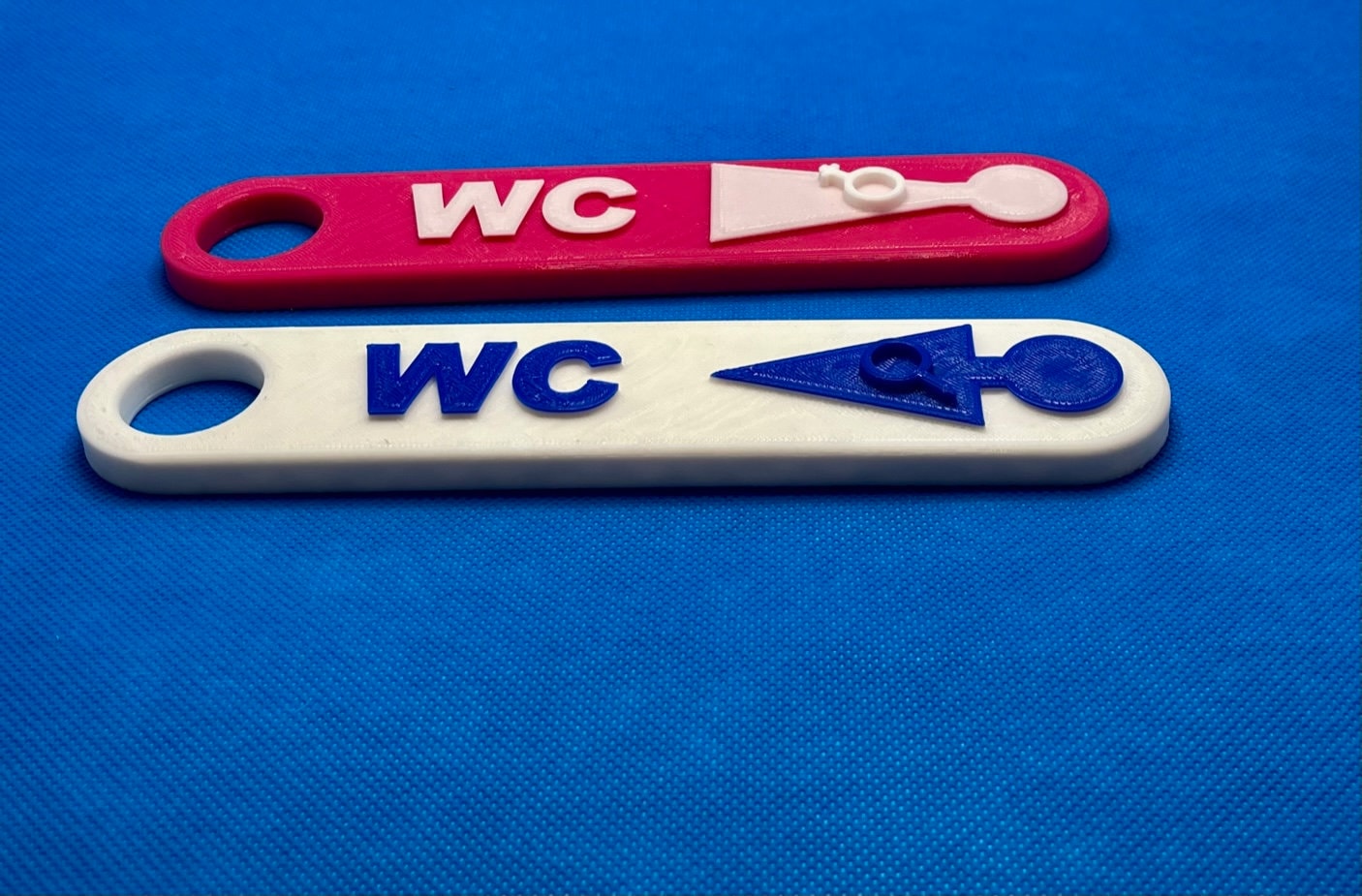 2 Giant Key Fobs for Restroom. Keychains for WC. Huge Keyrings - Etsy