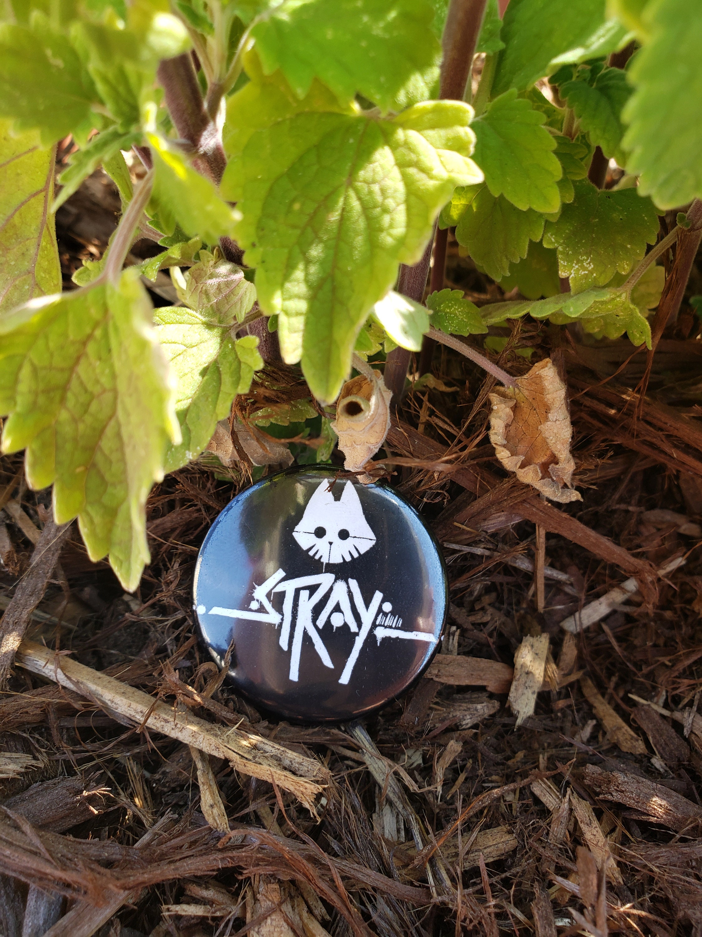 Stray Pins - Etsy