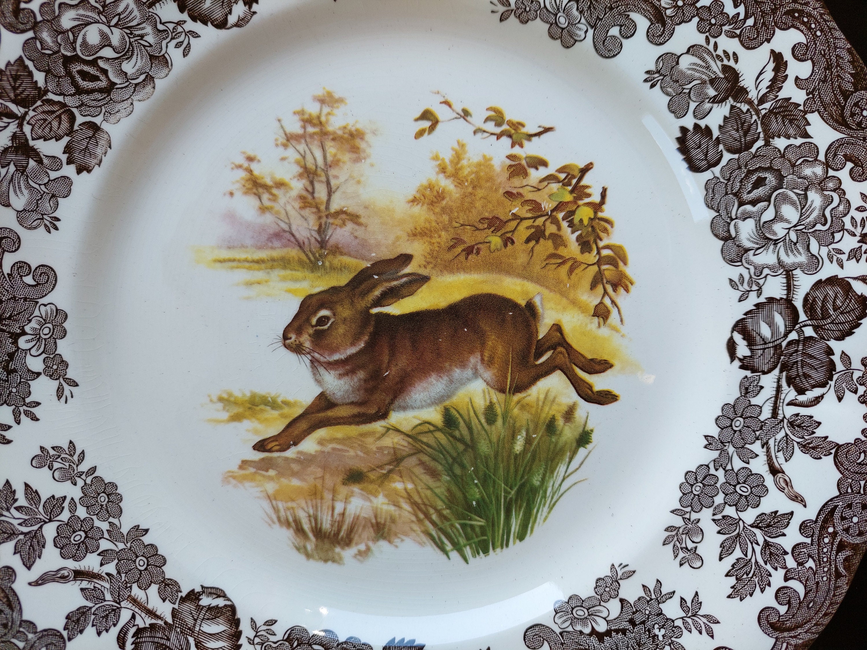 Palissy England Game Series Ceramic Dinner Plate With a Rabbit in It's ...