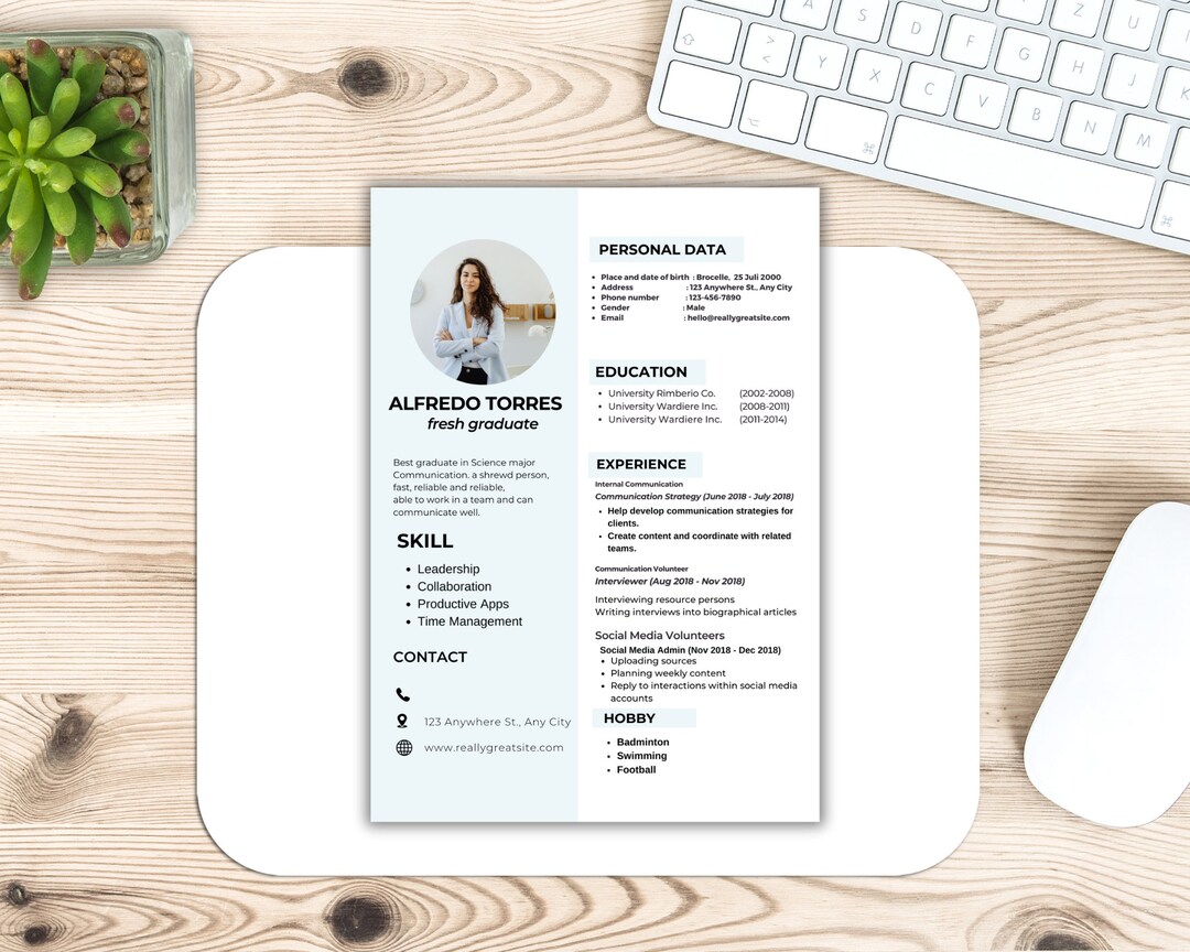 CV TEMPLATE, Resume Template, Editable Resume, DIY Resume Template, Job ...