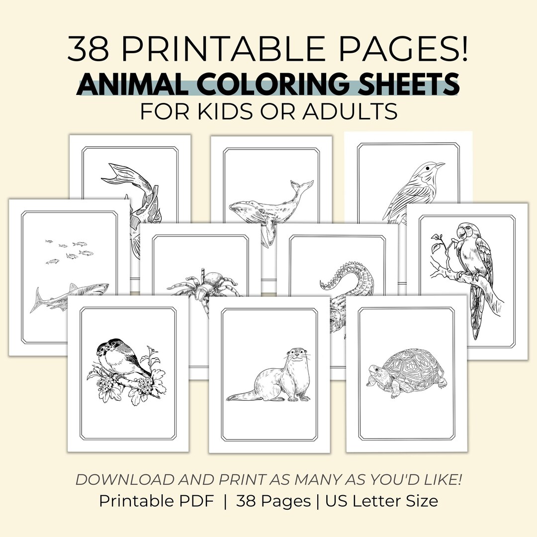 Animal Coloring Pages - Downloadable Printable PDF in US Letter Size ...