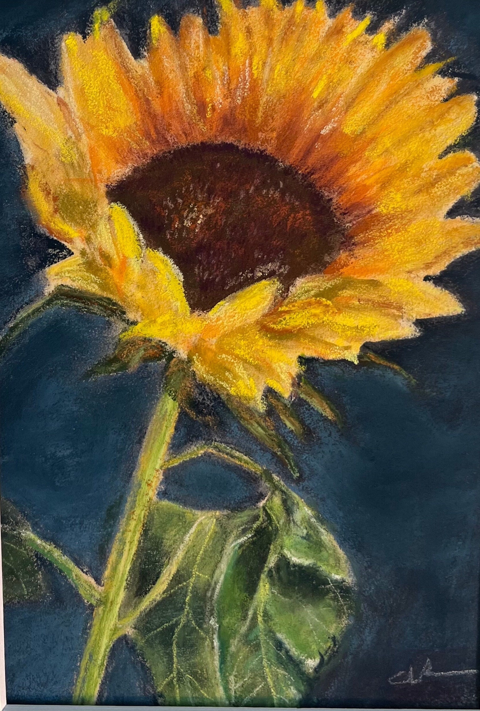 Sunflower, an Original Soft Pastel Painting by C.L. Russo - Etsy