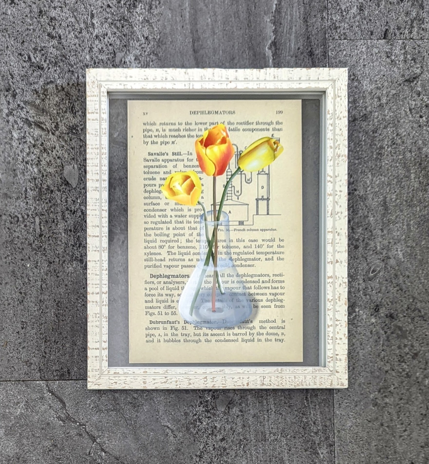 Chemistry Set With Flowers-science Art - Etsy