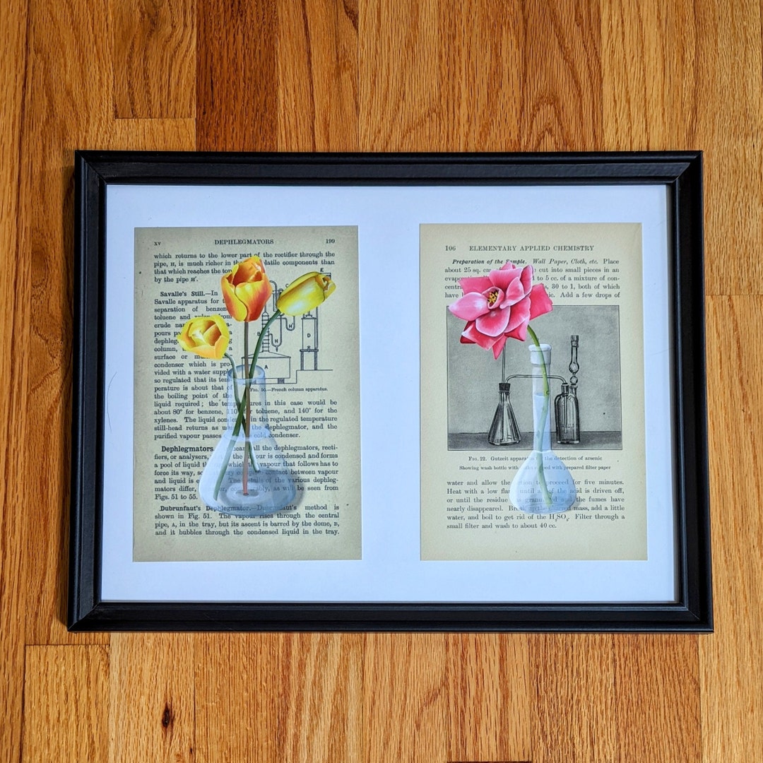 Chemistry Set With Flowers-science Art - Etsy