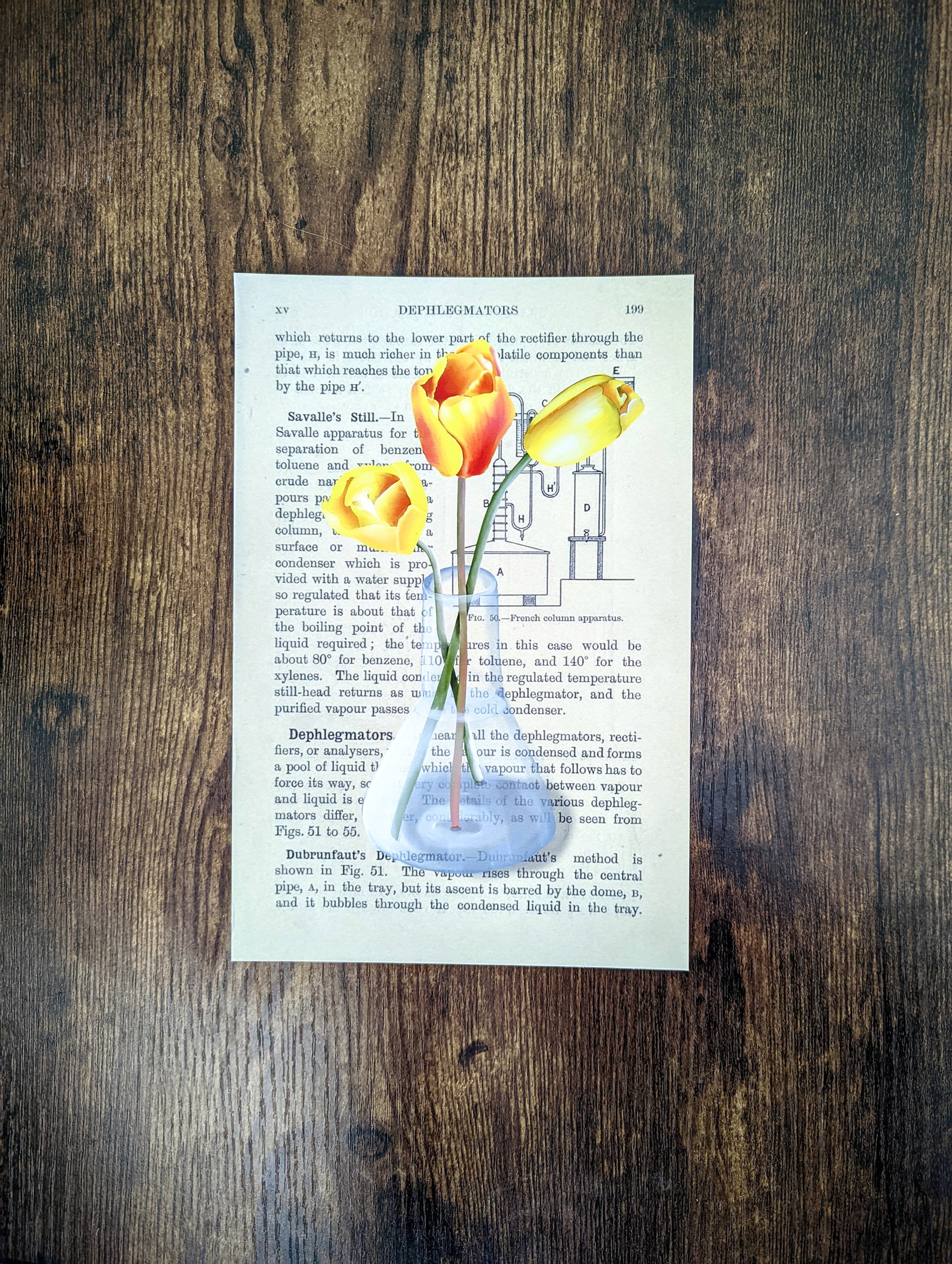 Chemistry Set With Flowers-science Art - Etsy