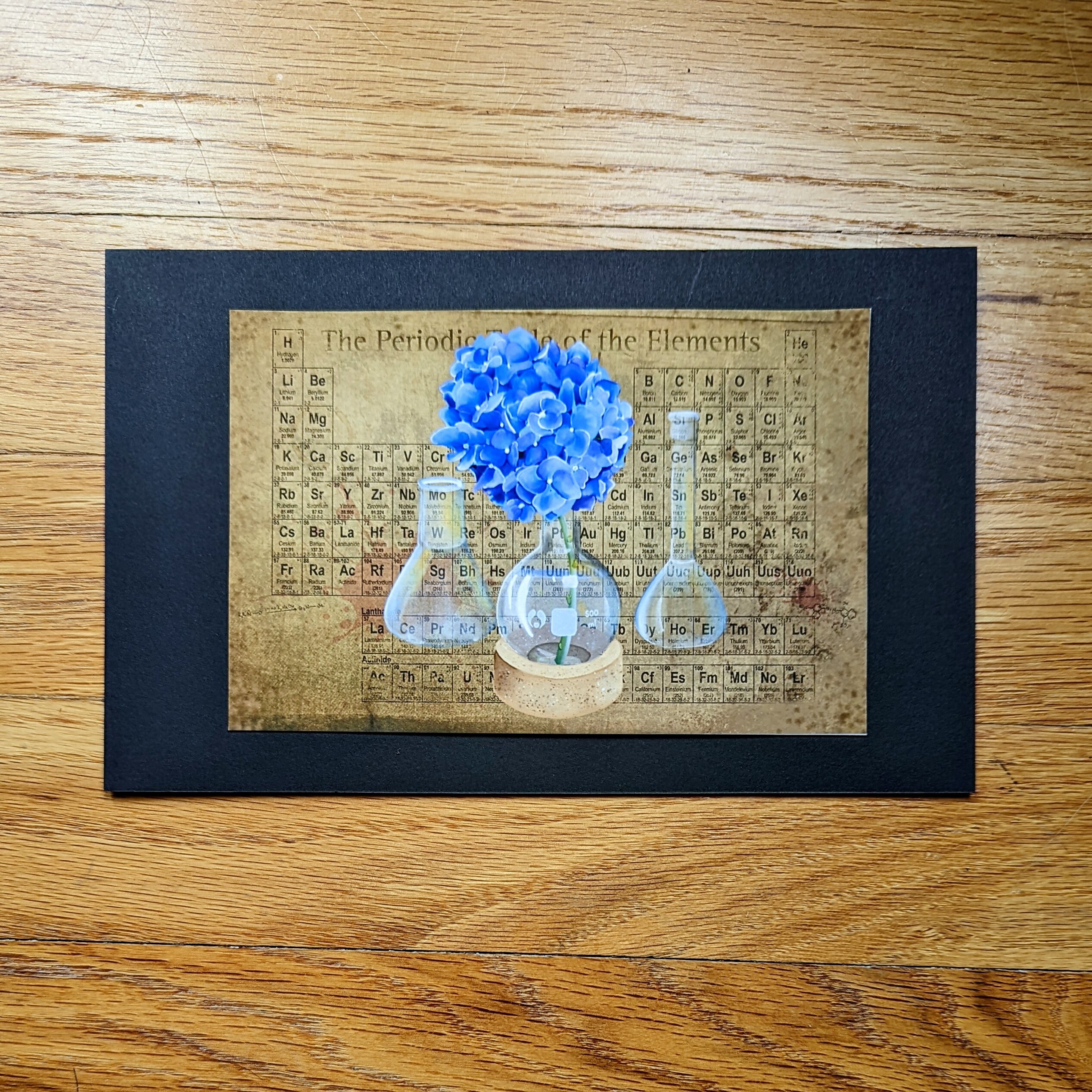 Hydrangea Flower Periodic Table Art Print - Etsy