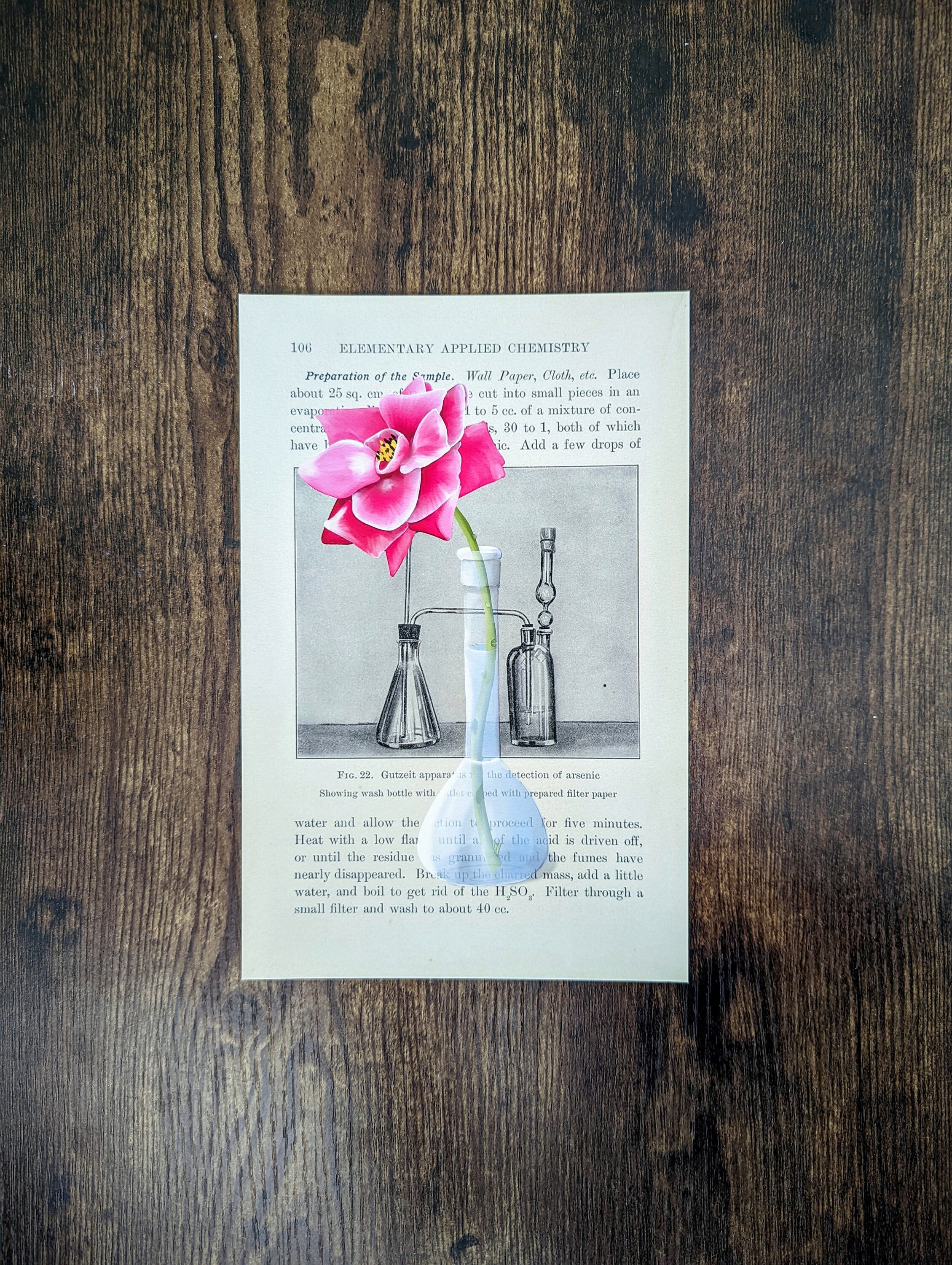 Chemistry Set With Flowers-science Art - Etsy