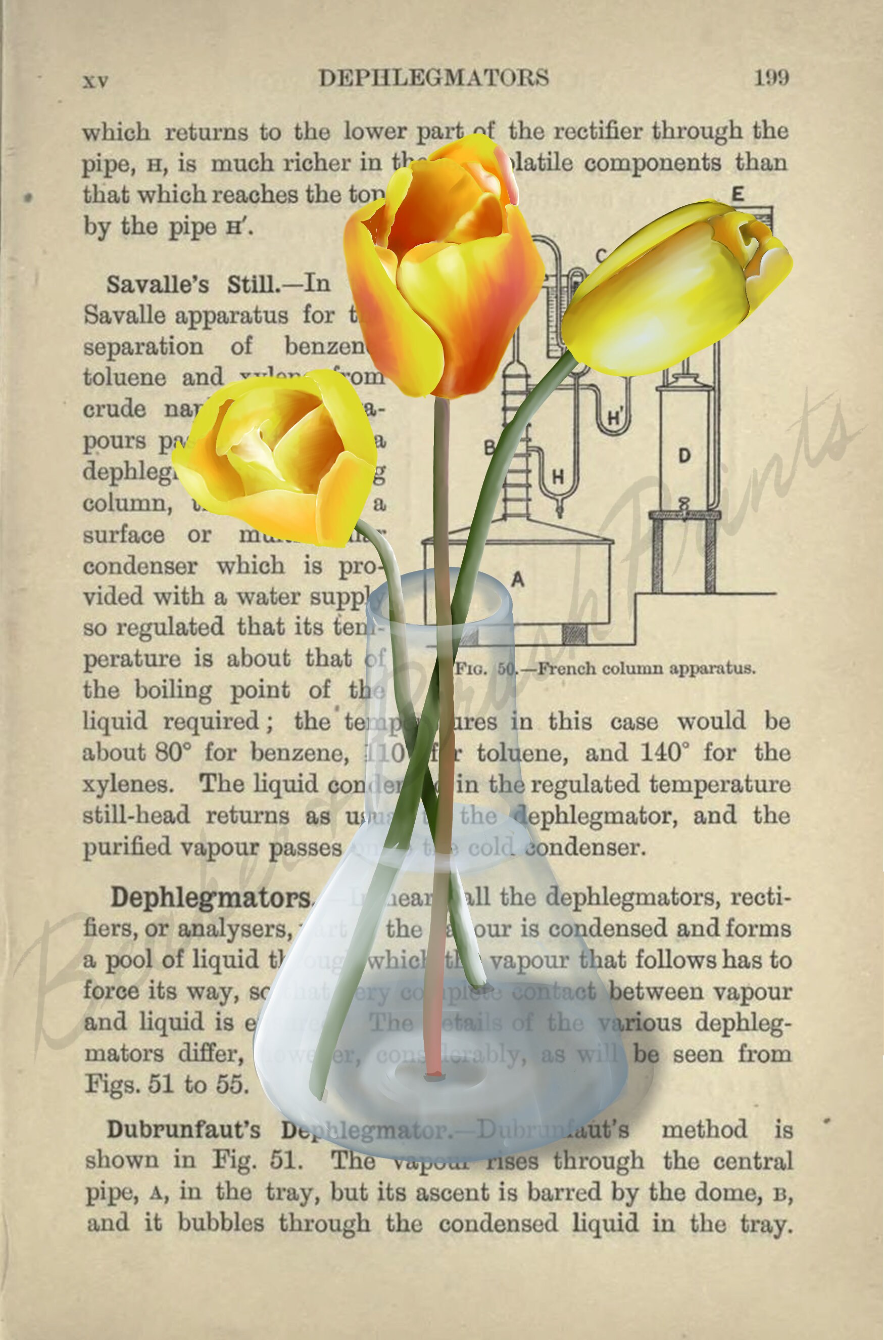 Chemistry Set With Flowers-science Art - Etsy