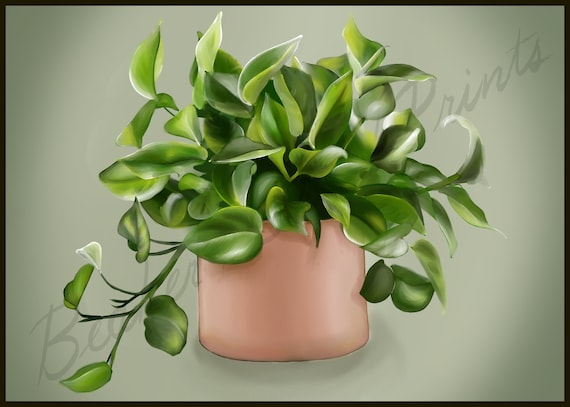 Digital Download Pothos Plant Art - Etsy