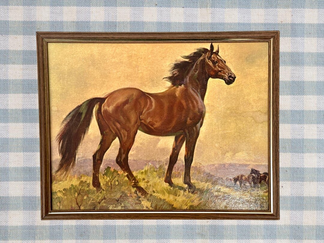 Vintage Elmore Brown 1966 Horse Portrait on Textured Board Framed - Etsy