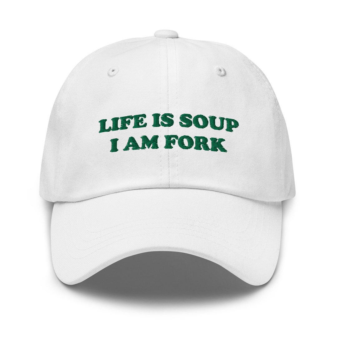 Funny Hat, Life is Soup Hat, Meme Hat, Gag Gift, Aesthetic Hat, Friend ...