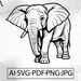 Elephant SVG Elephant Head Jungle Safari Animal Instant Digital ...