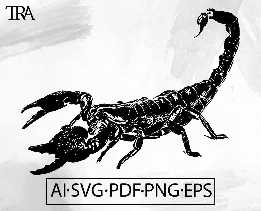 Scorpion SVG Scorpio Insect Flash Tattoo Animal Poison - Etsy