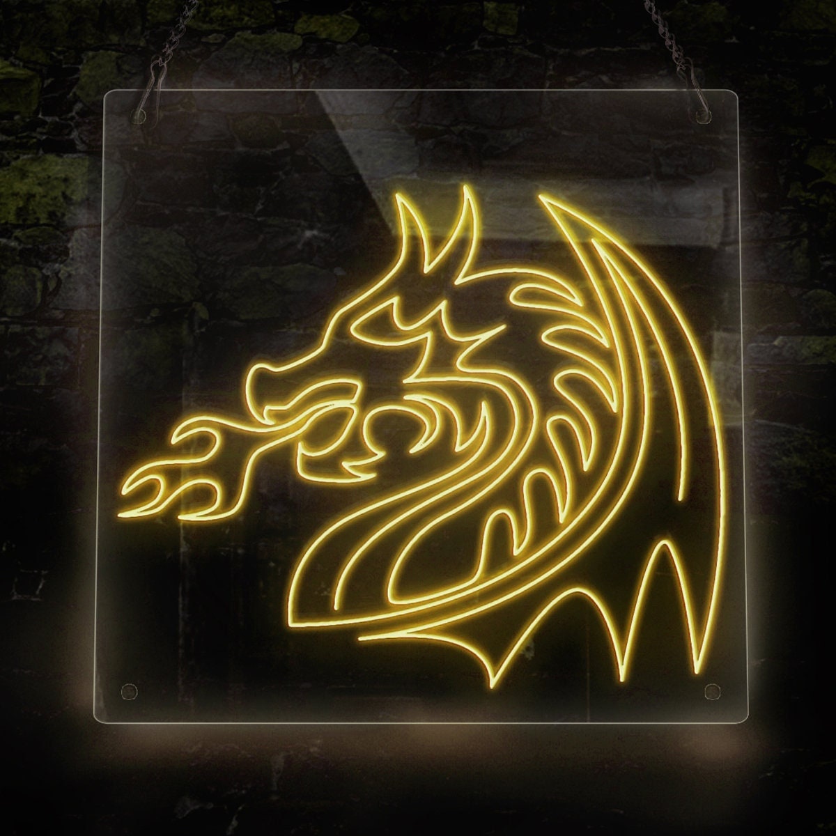 Fictional Monsters Dragon Chinese Traditional Magical Legend Creature ...