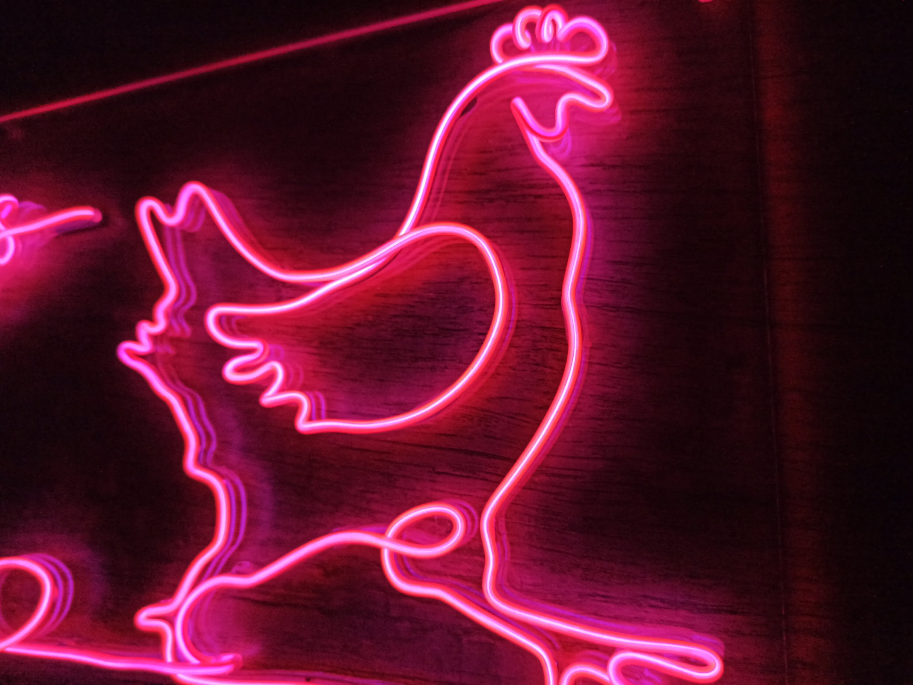 Hen Chicken Farm Eggs Neon Sign, Theme Handmade EL Wire Neon Light Sign ...