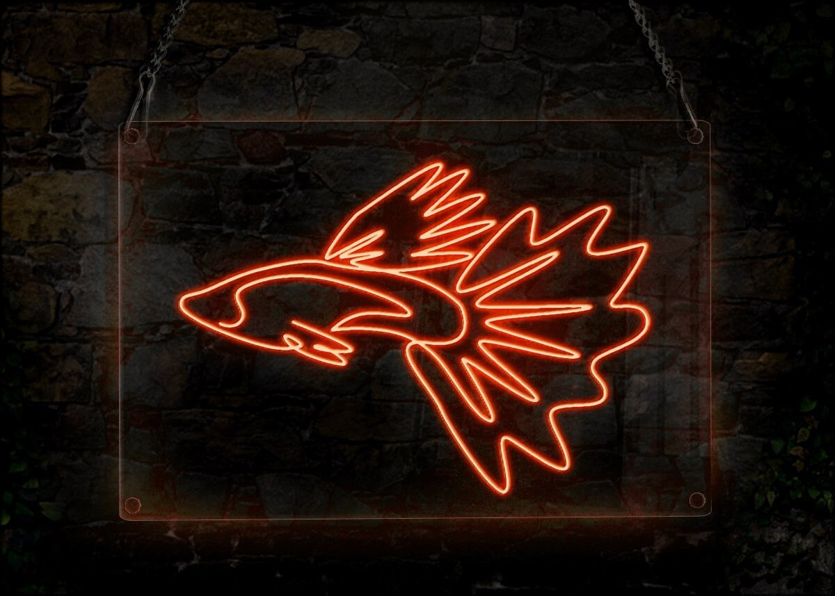 Cute Guppy Fish Pet Mascot Neon Sign, Handmade EL Wire Neon Light Sign ...