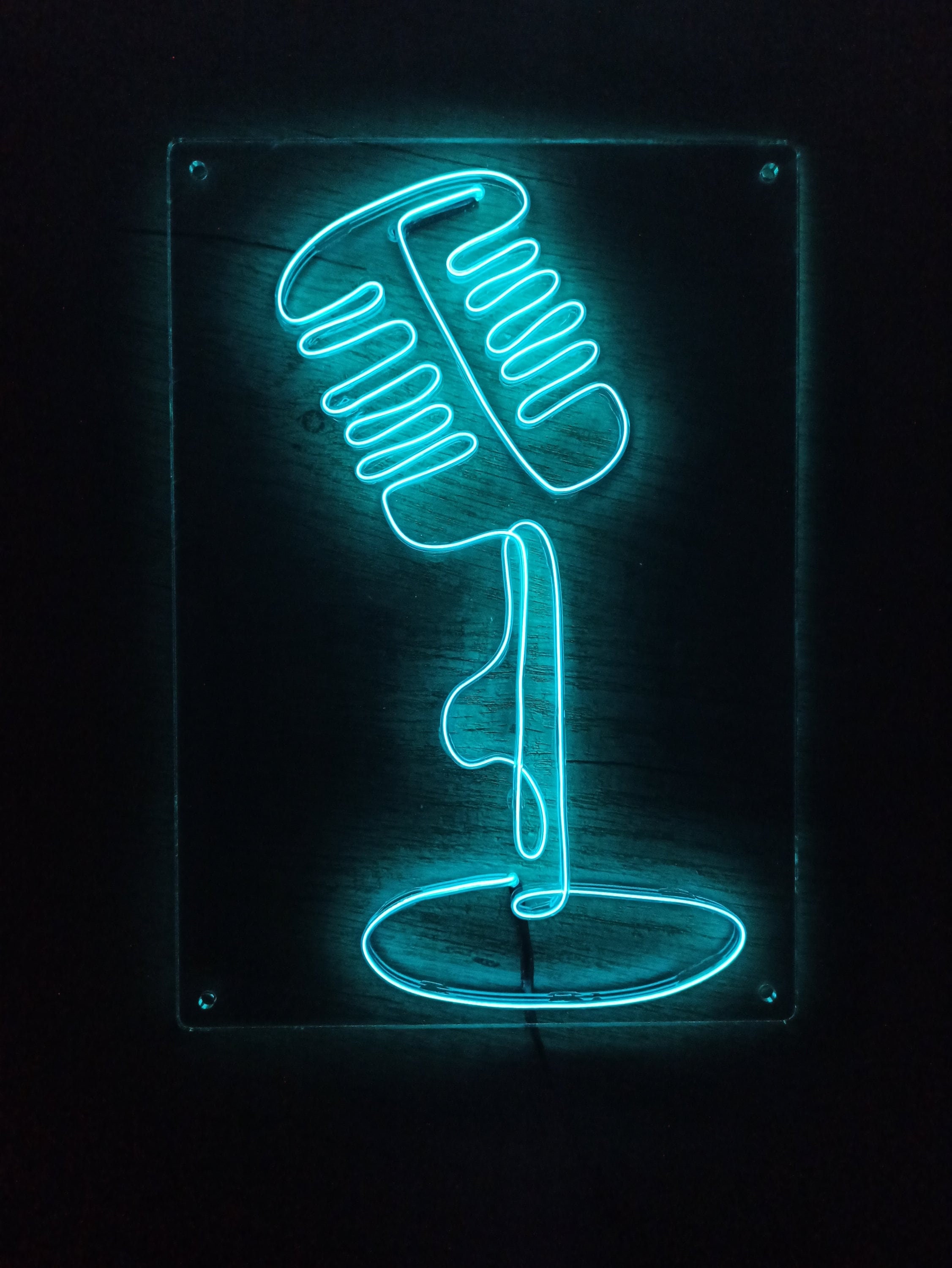 Mic Microphone Neon Sign, Music Led Neon Sign, Neon Sign for Music ...