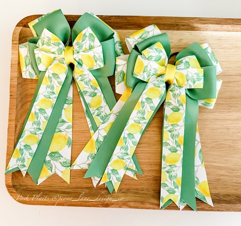 Equestrian Show Bows, Summer Equestrian Bows, Leadline Bows, Horseback ...