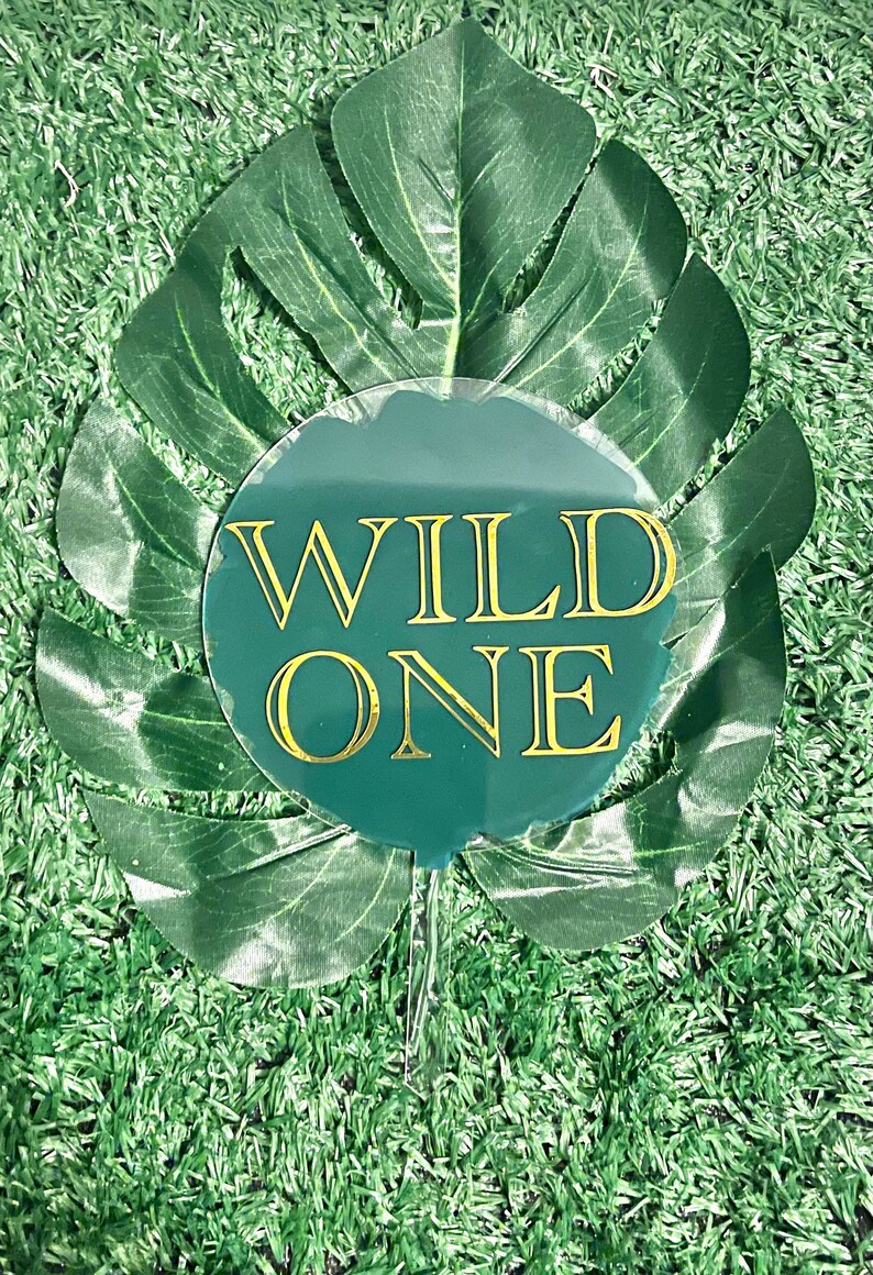 Custom Wild One Cake Topper, Birthday Cake Topper, Personalize Age and ...