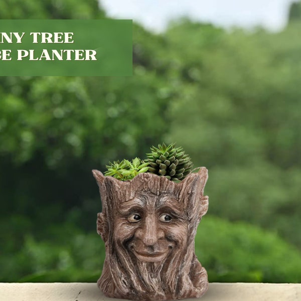 Funny Face Planter Pots - Etsy