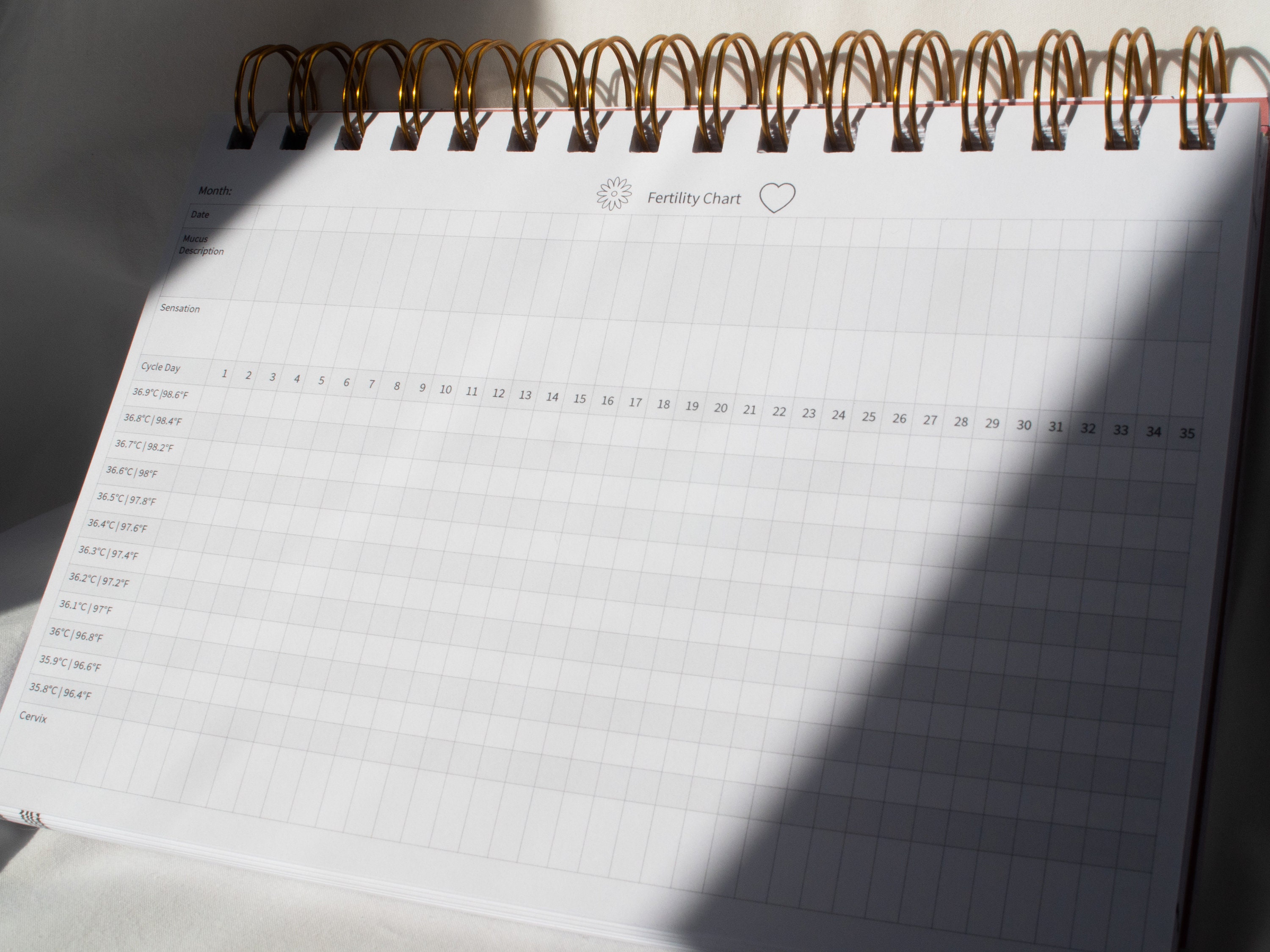 Menstrual Cycle Journal | Blank & Undated | Period Tracker | Fertility ...