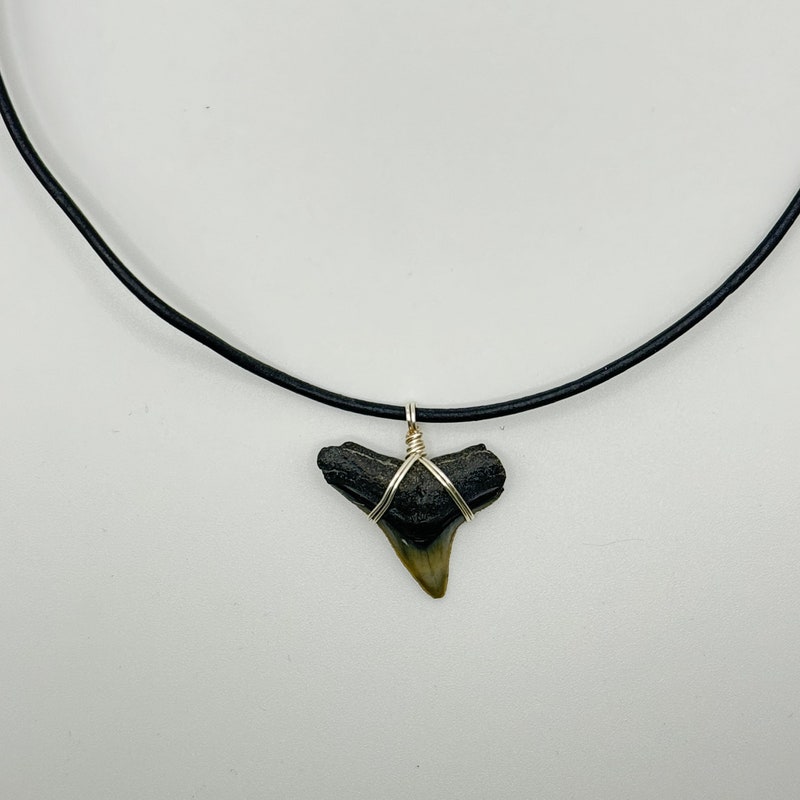 Shark Tooth Necklace - Etsy