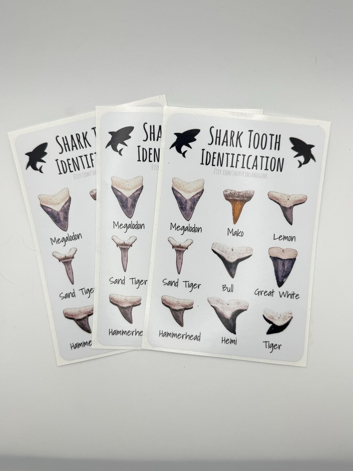 Shark Tooth Identifcation Sticker Card 4” X 6” - Etsy