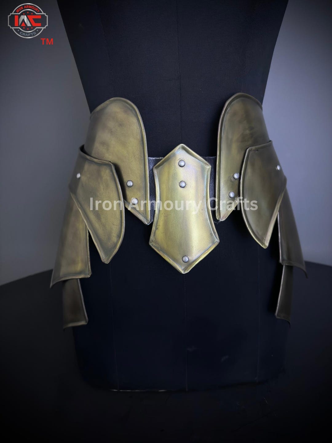 Steel Lady Knight Armor, Medieval LARP Cosplay Costume - Etsy