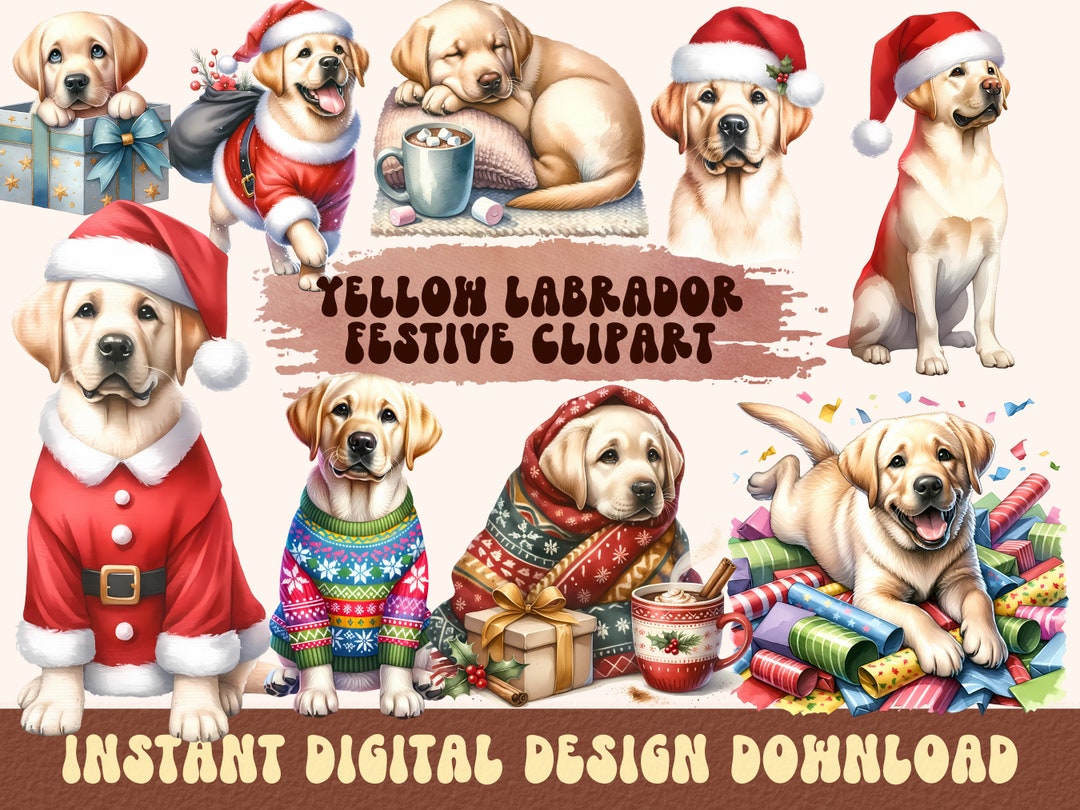 Yellow Lab PNG, Yellow Labrador Clipart Bundle, Watercolor Yellow Lab ...