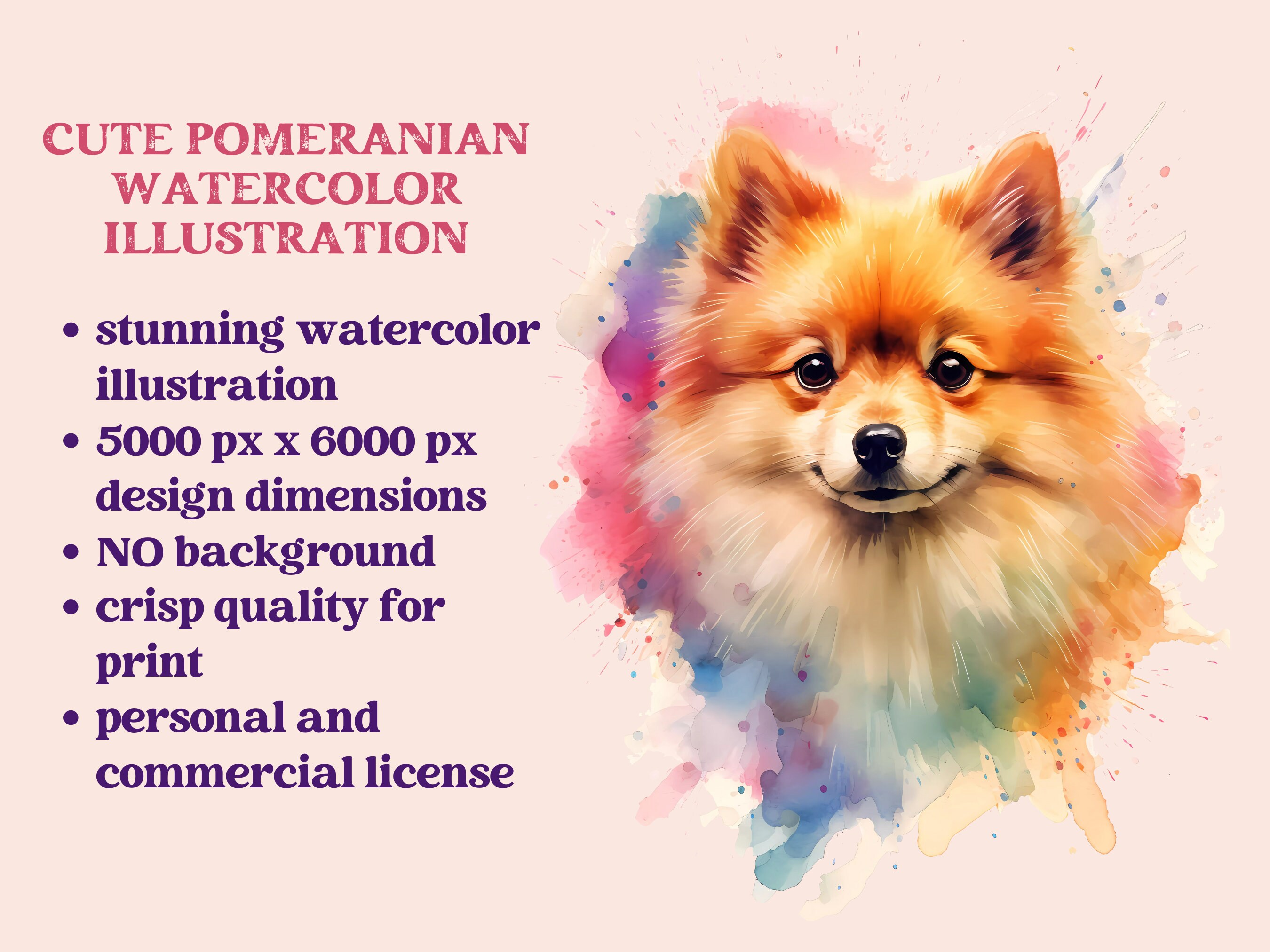 Pomeranian PNG, Watercolor Pomeranian Design, Pomeranian Art, Gift for ...