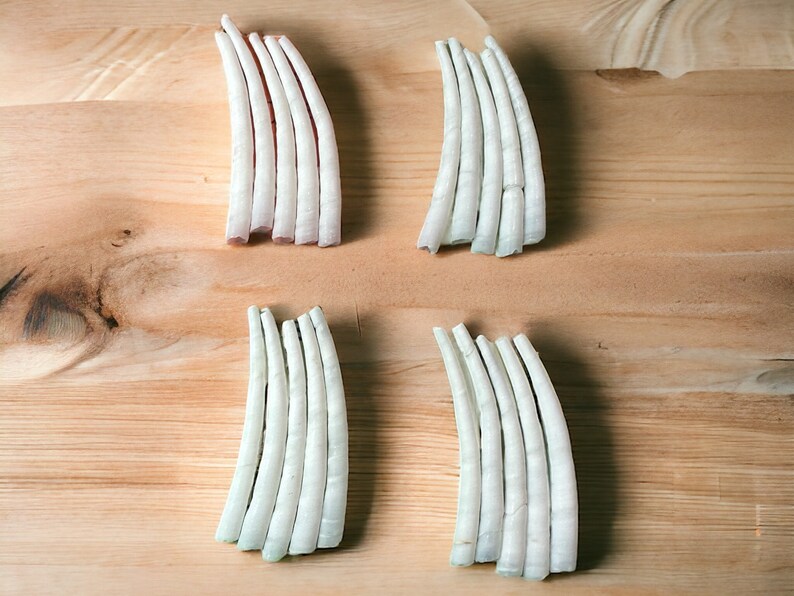 20 Large Tusk Shell Dentalium Shells Smooth 50mm Pieces Native Jewelry ...