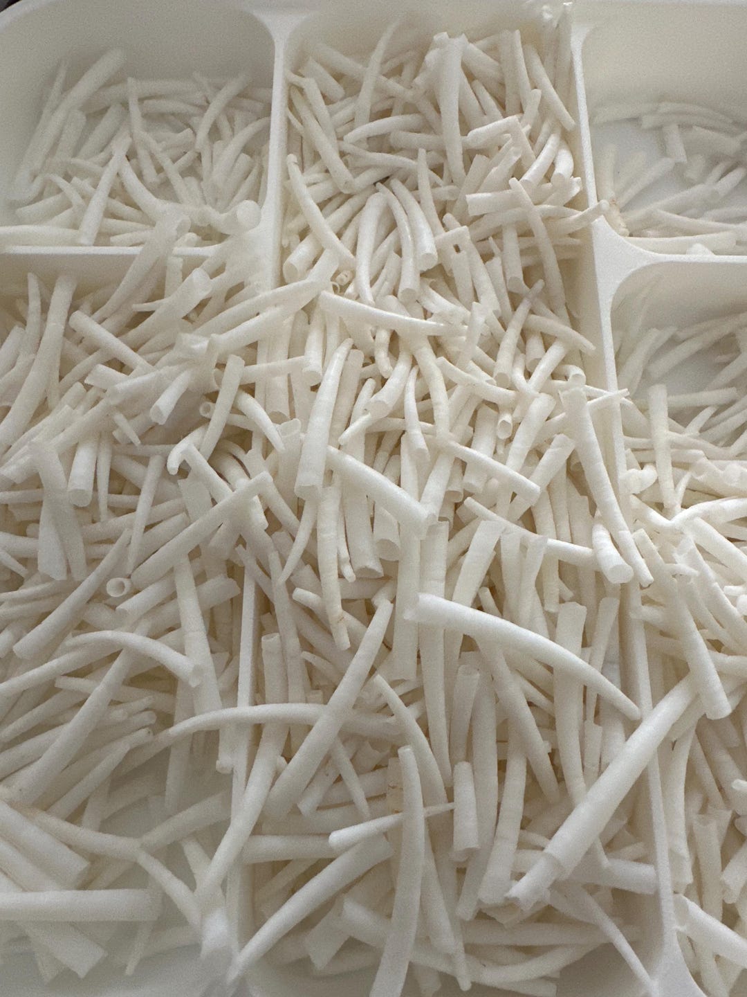 1 or 2 Oz Smooth Tusk Shell Dentalium Shells Native Jewelry Supplies ...