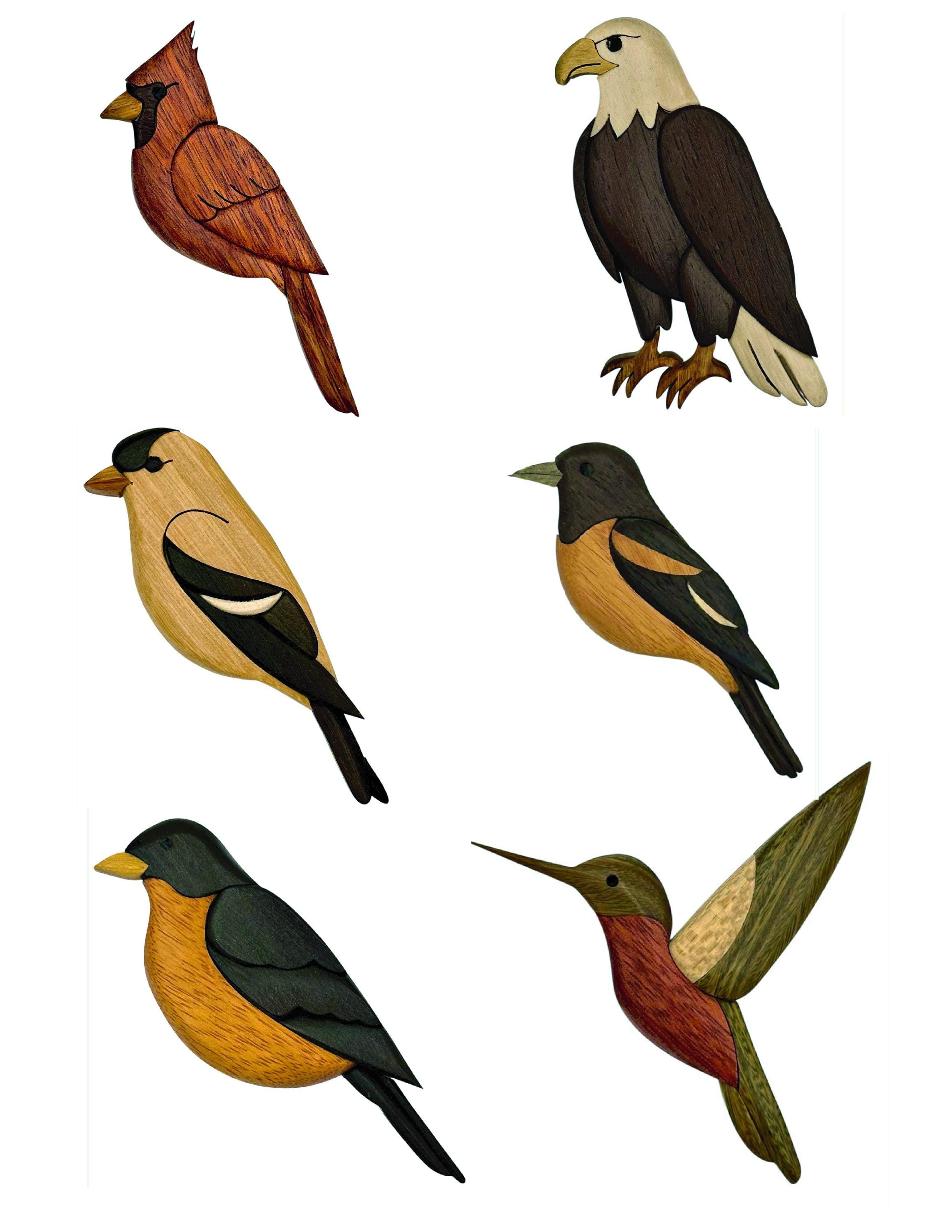 Birds of the Midwest Wood Intarsia Magnets / Ornaments PATTERN ONLY ...