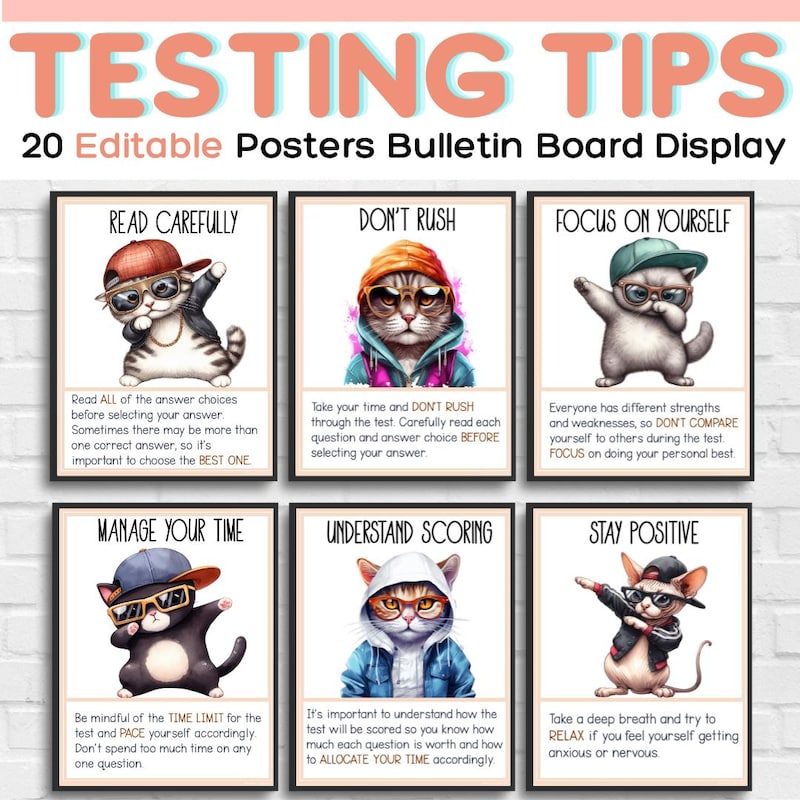 State Testing Posters - Etsy