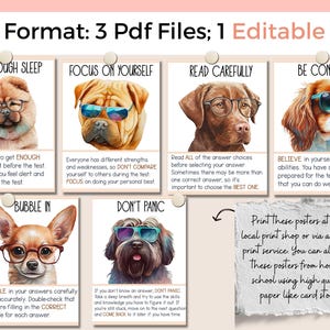 Testing Tips Posters: Dog Theme Bulletin Board (editable, Digital ...
