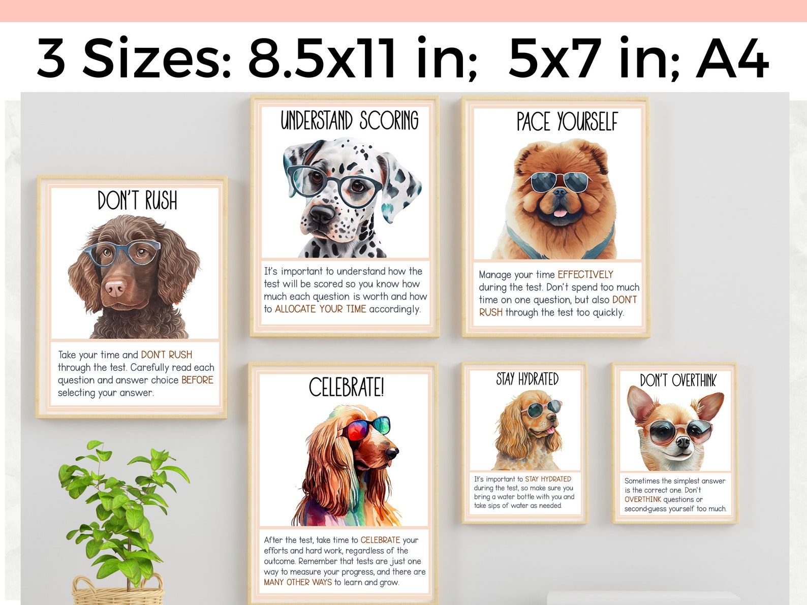 Test Taking Strategies Posters Testing Tips for Students | Standardized ...