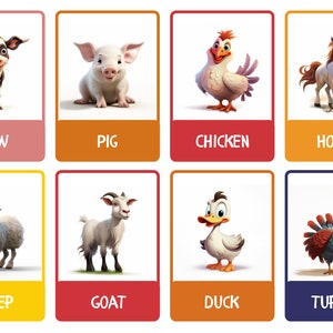 Animals -16 Editable Montessori Cards -flash Cards With Cute Animals ...