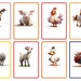 Animals -16 Editable Montessori Cards -flash Cards With Cute Animals ...