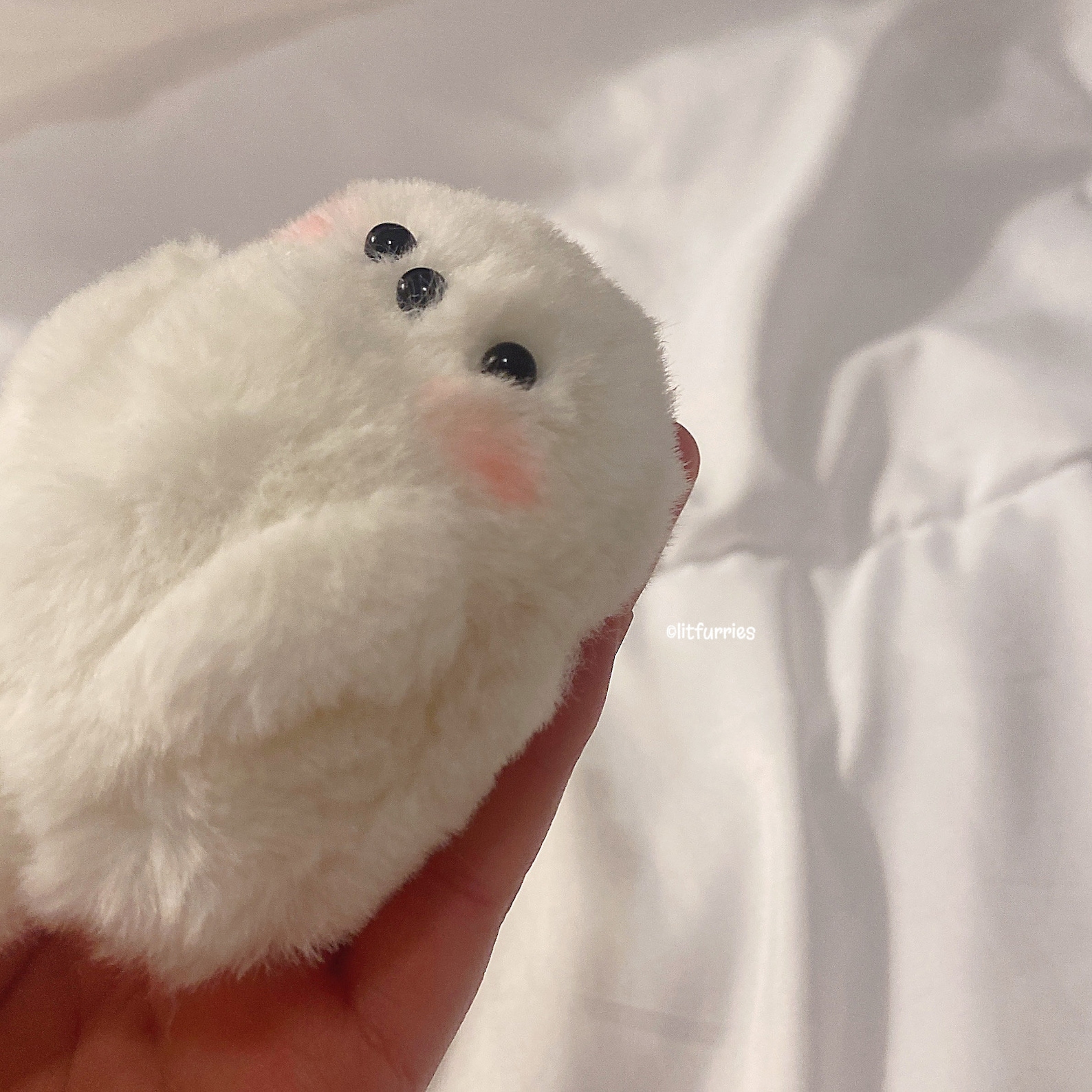 WHITE SEAL PUP Pockets Pom Pom Pets, Sensory Pets, Travel Pal, Anxiety ...