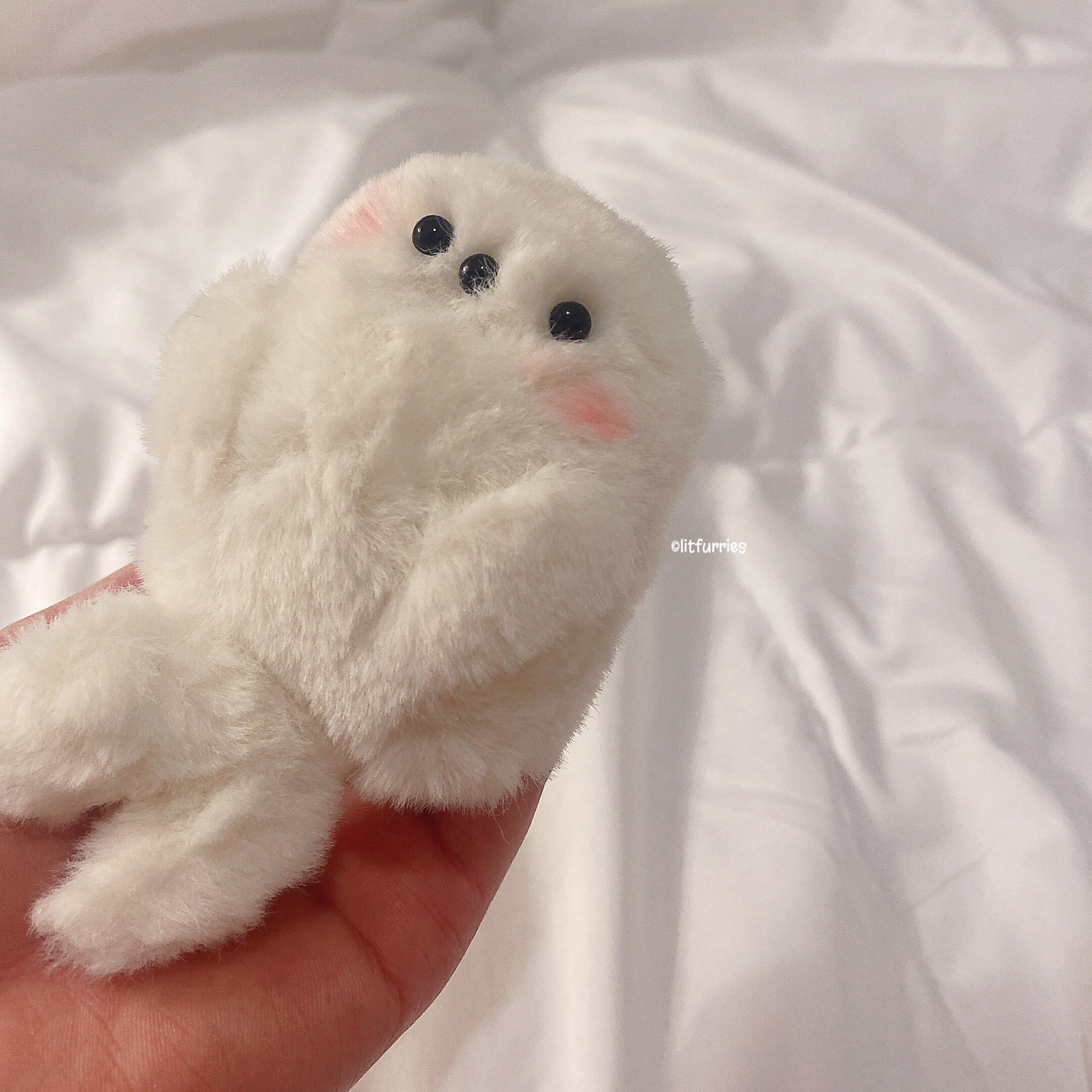 WHITE SEAL PUP Pockets Pom Pom Pets, Sensory Pets, Travel Pal, Anxiety ...