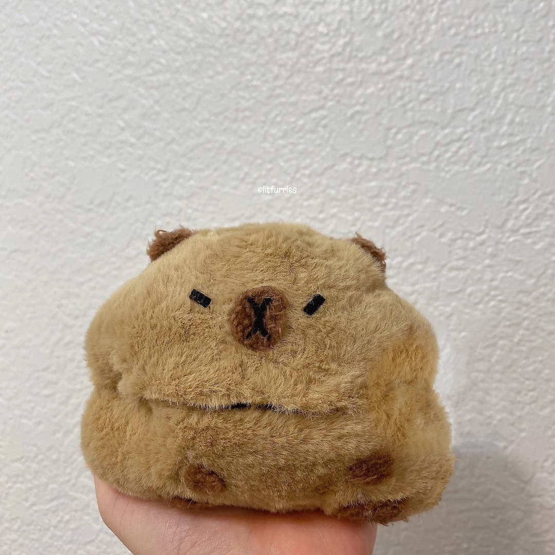 FLUFFY CAPYBARA Case for Beats Fit Pro Case, Powerbeats Pro - Etsy