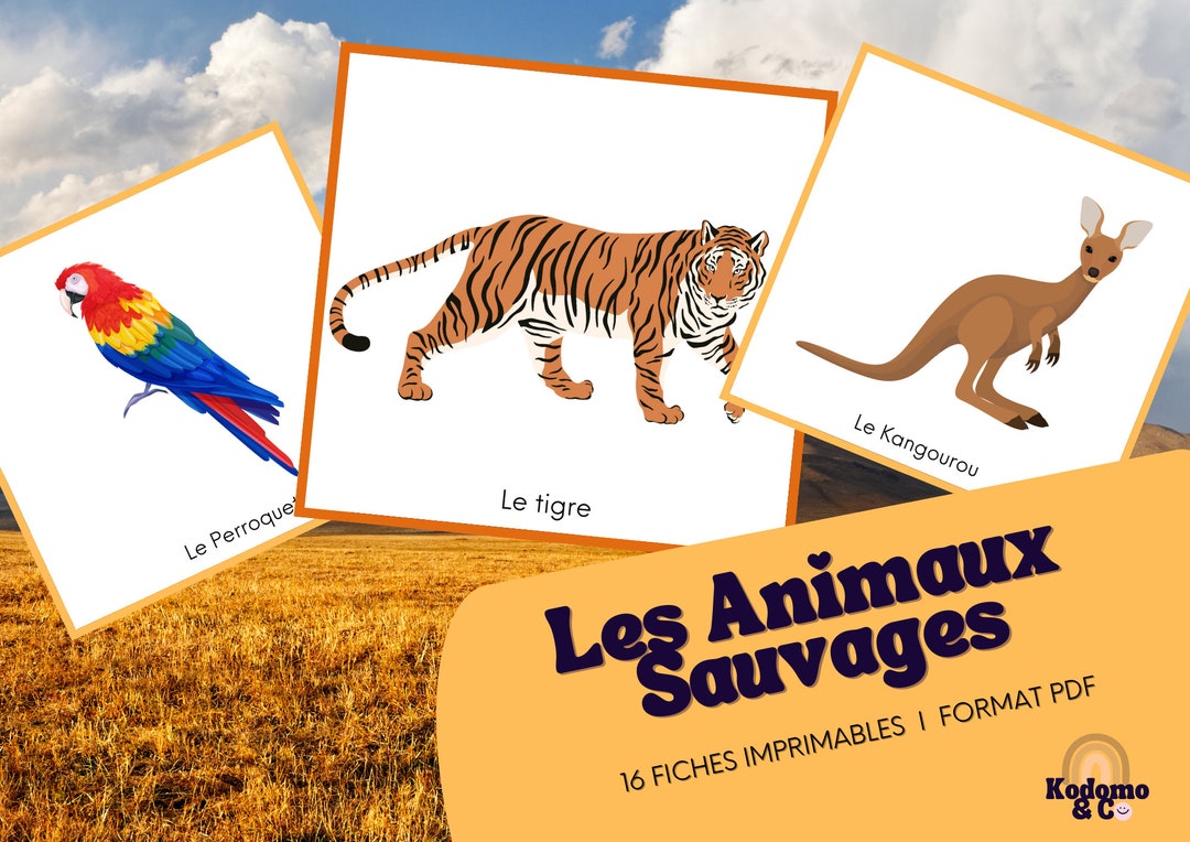 ANIMAUX Sauvages 16 Fiches Imprimables / Printable WILD ANIMALS Flash ...