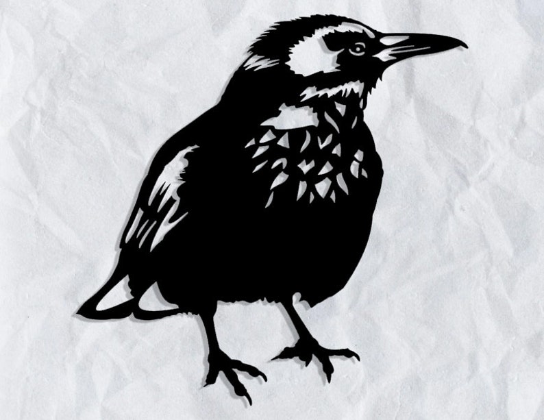 Humming Bird Outline SVG, Humming Bird Svg, Humming Bird Clipart ...