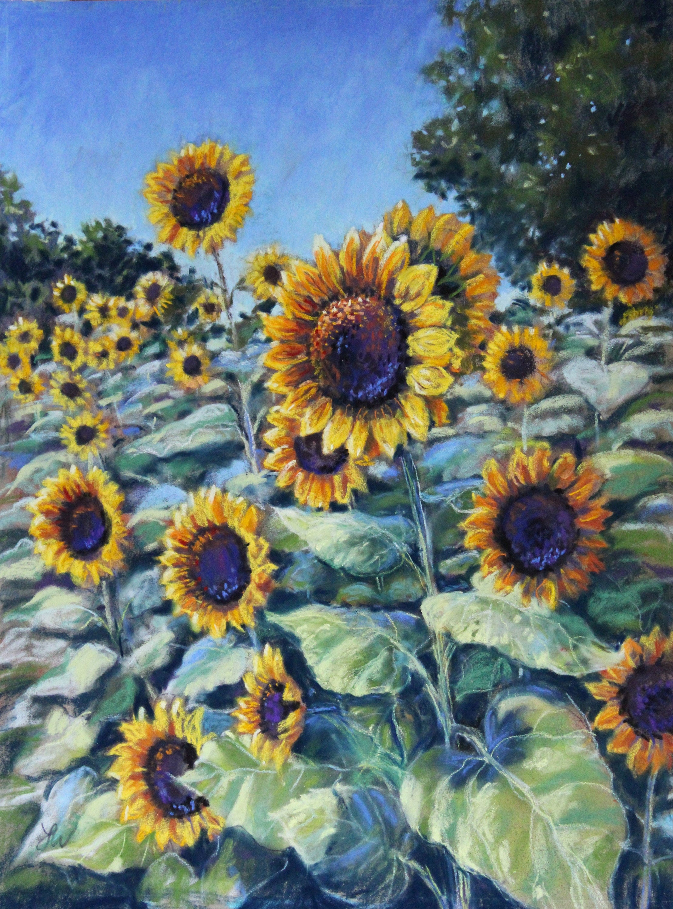 Sunflower Art Original Art Floral Art Signed Art - Etsy