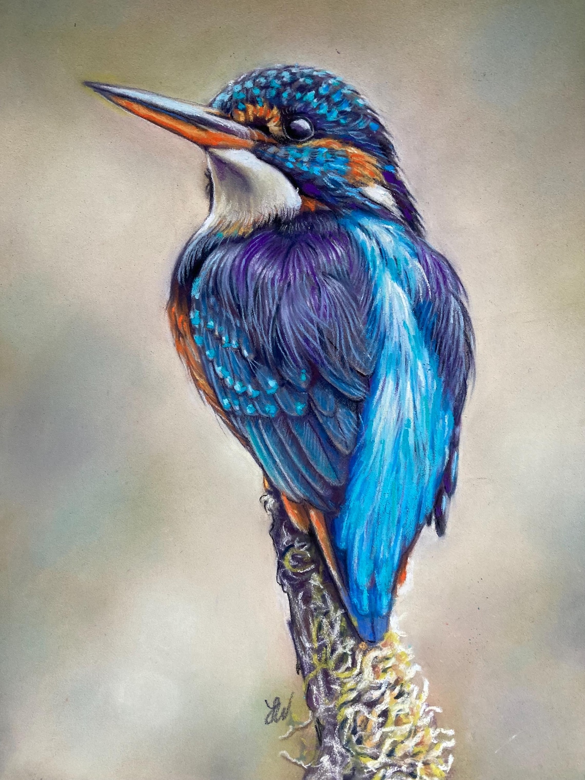 Kingfisher Art ~ Original Art ~ Kingfisher Pastel Art ~ Signed Art - Etsy