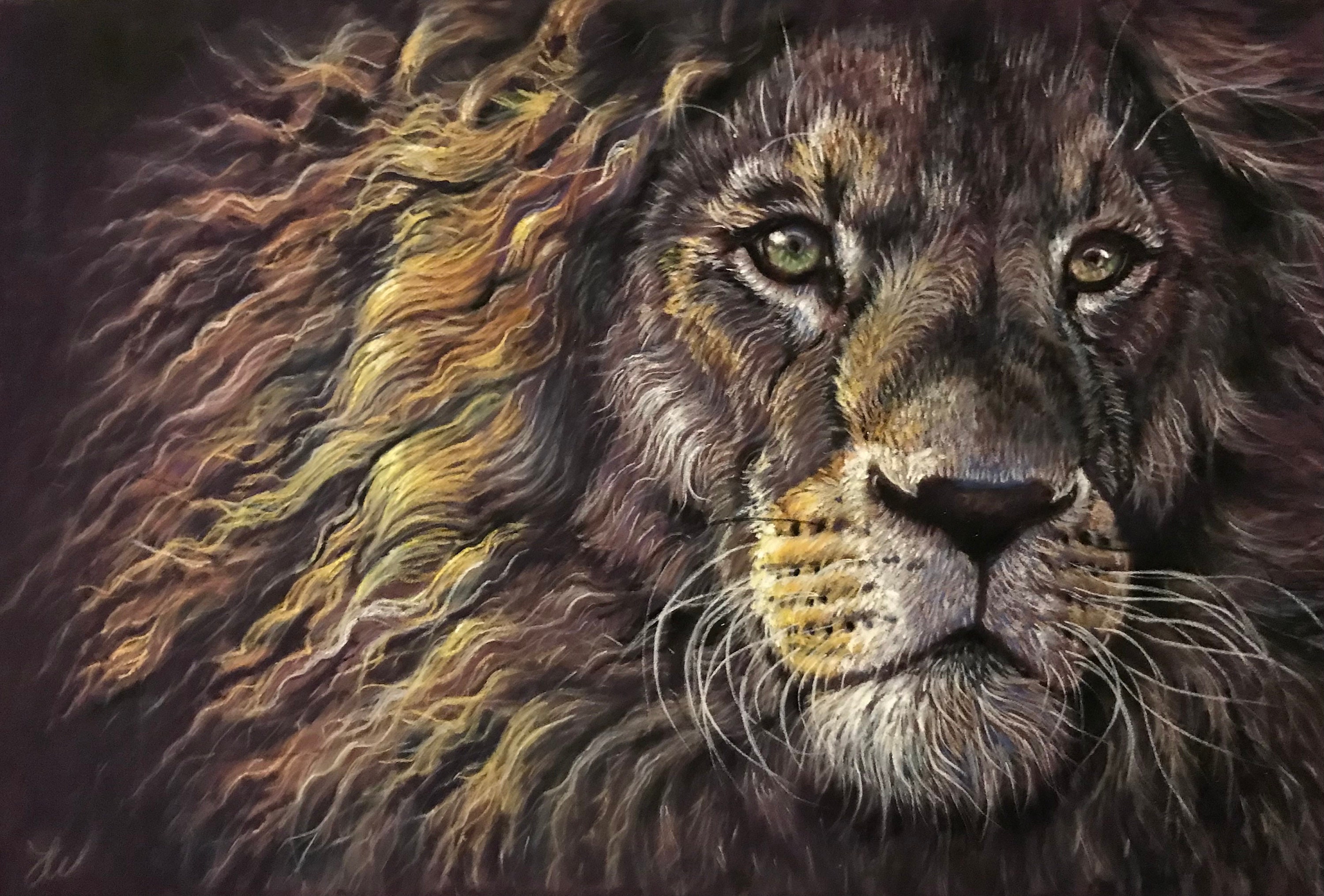 Lion Painting ~ Original Art ~ Lion Pastel Art ~ Lion Painting - Etsy