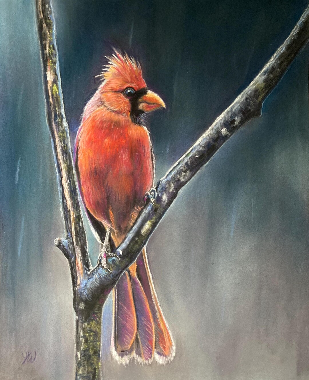 Red Cardinal Art Bird Art Pastel Artwork - Etsy