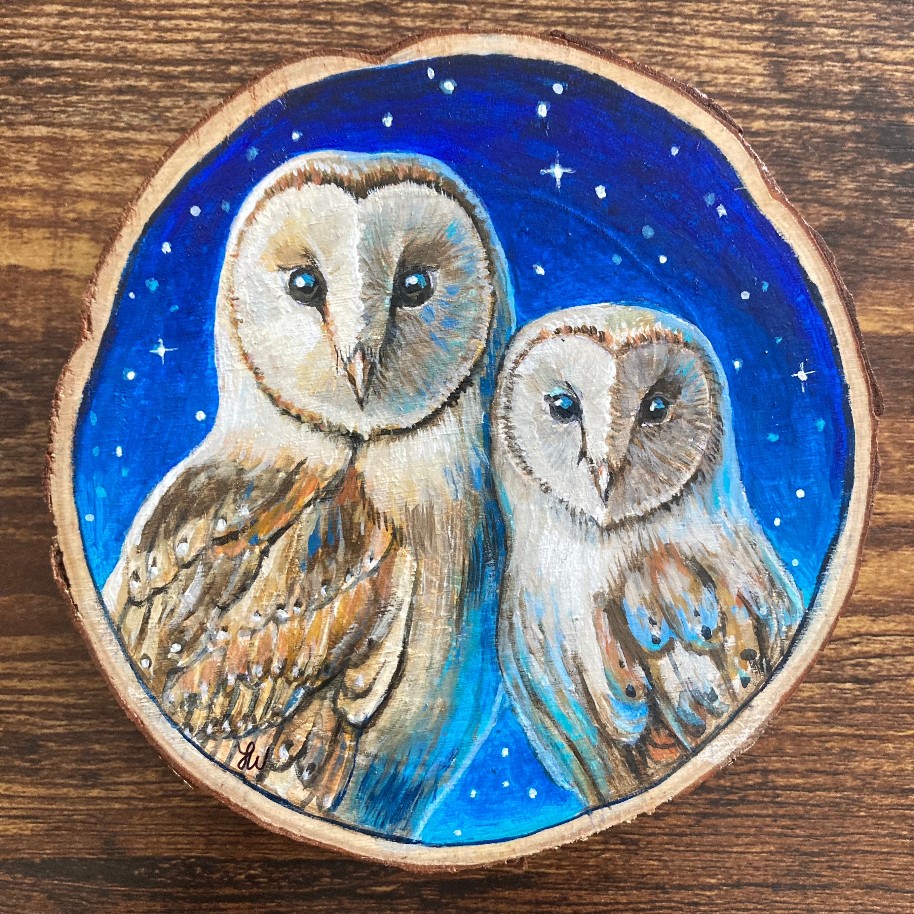 Owls and Stars Owl Wood Slice Hand Painted Barn Owls Wall Art - Etsy