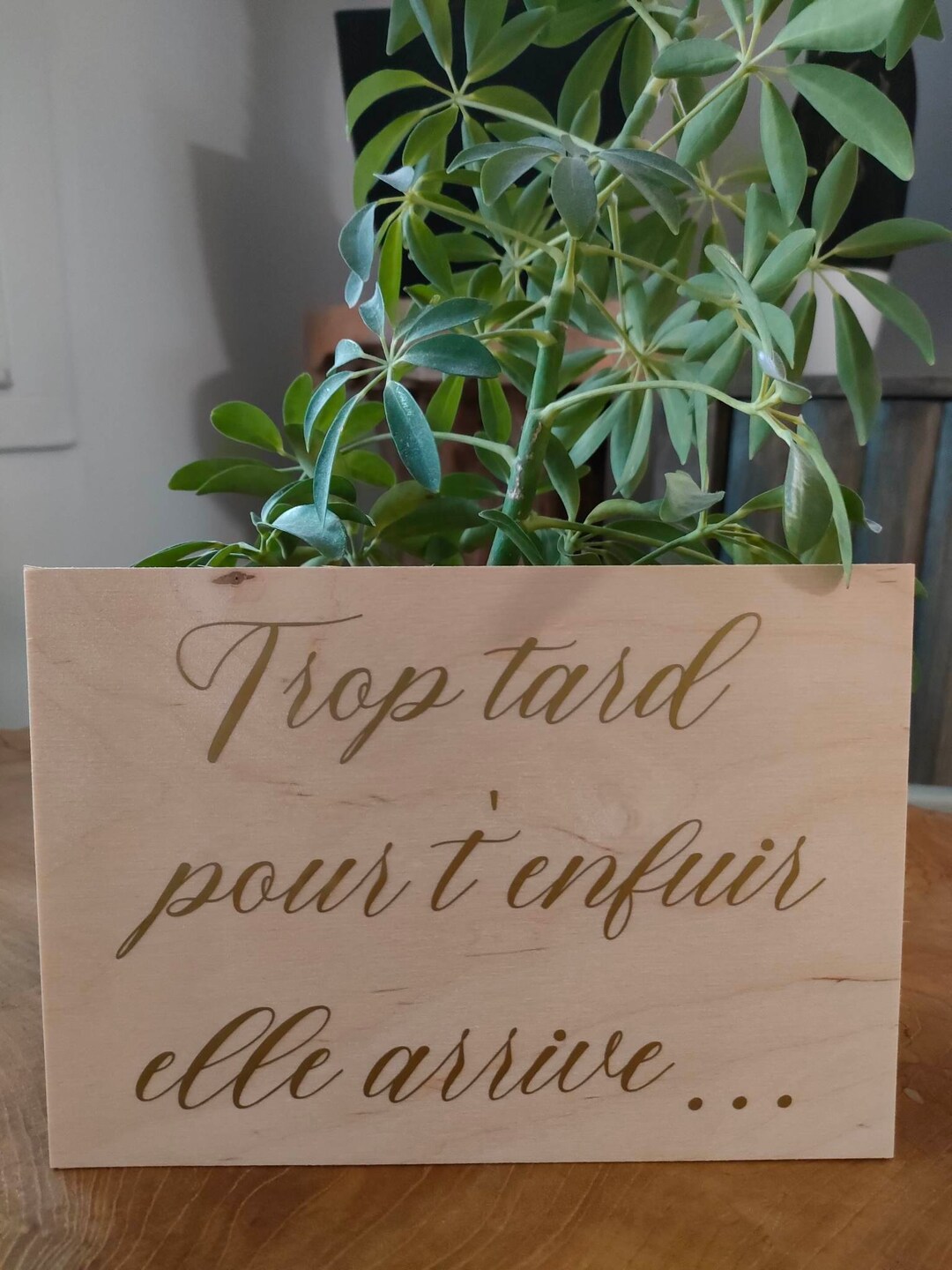 Pancarte trop tard pour t'enfuir - Etsy France