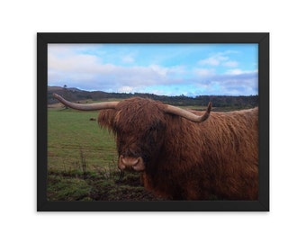 Highland Cow Framed / Unframed / Canvas Print - Etsy UK